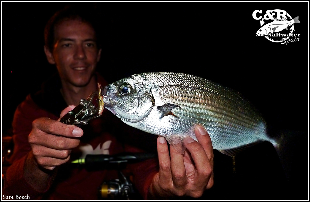 RockFishing Spain: Weightless en el Rockfishing