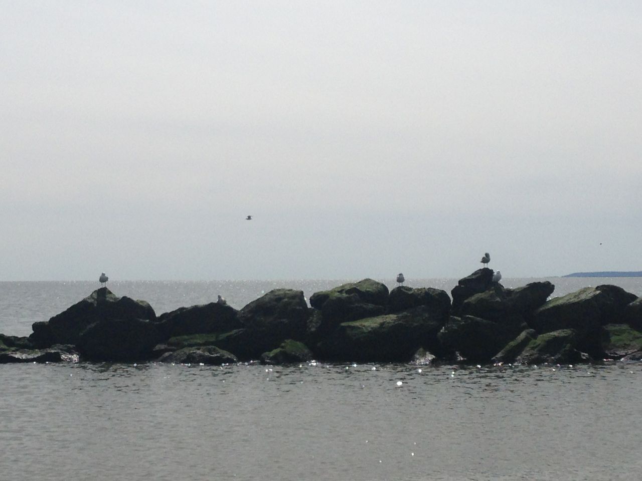 Back on the Boardwalk: Opening Day at Coney Island