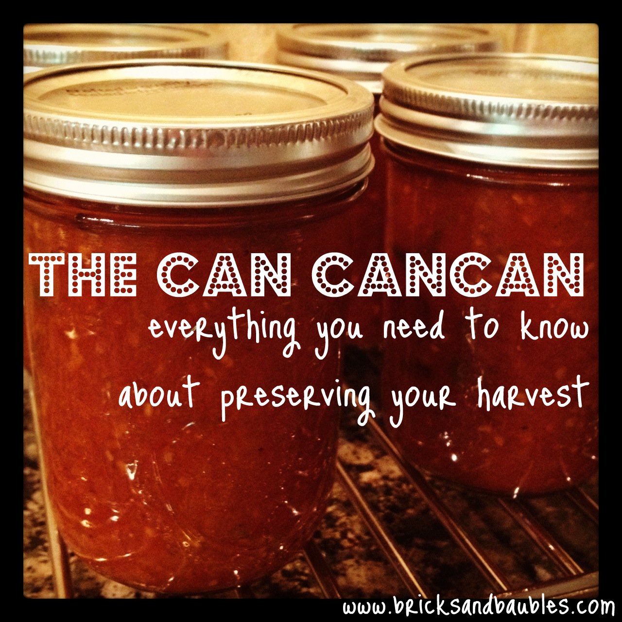 bricks and baubles: The Can Cancan- Canning Basics, Safety, and are you ...