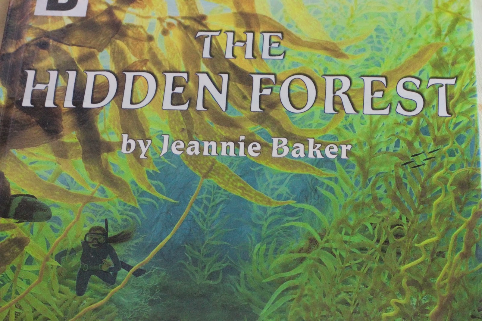 Wilder: Seashore Stories