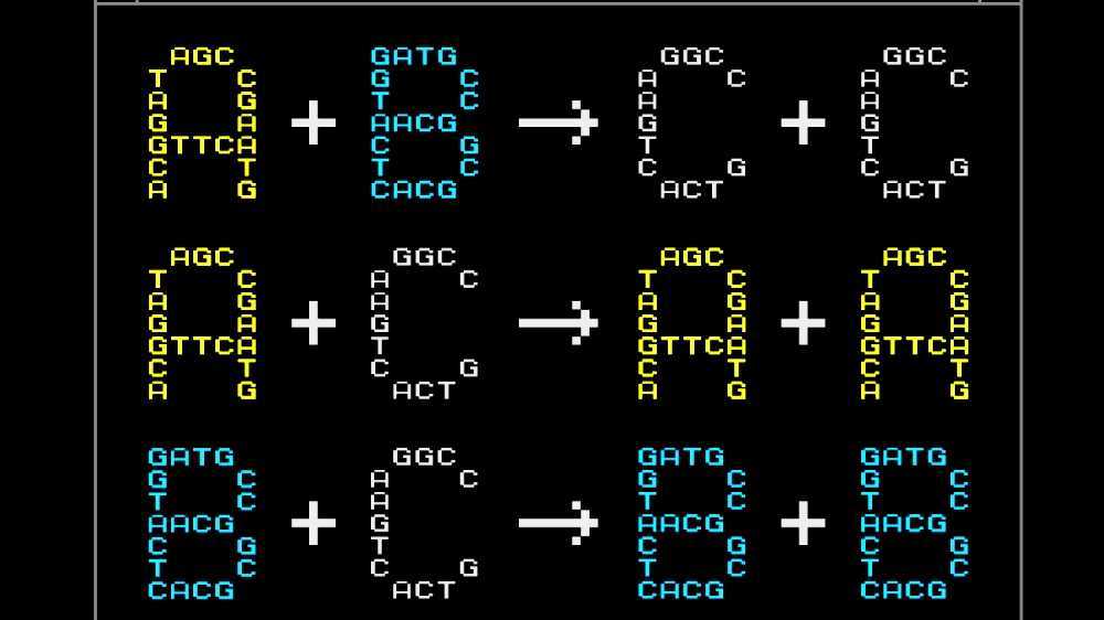 B Programming Language