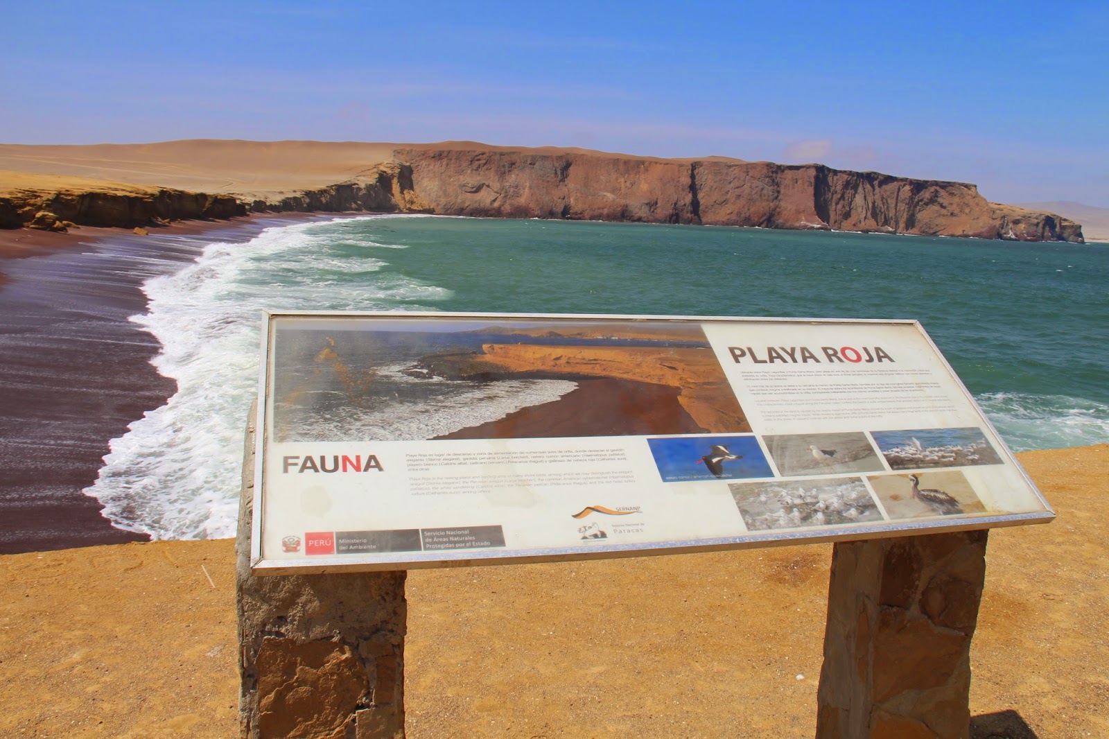 Peru: Paracas e Islas Ballestas | Apaixonados por Viagens | Roteiros e ...