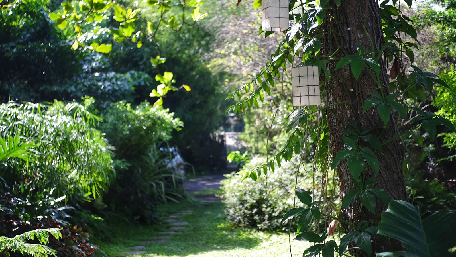 Kapusod - relax inside a kubo, earth dome or tree house infront of Taal ...