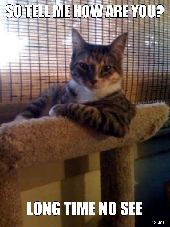 İngilizce Yazıları: Long time no see