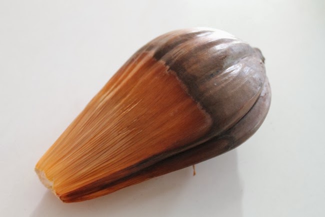 Nipah Oh Buah Nipah - Azie Kitchen