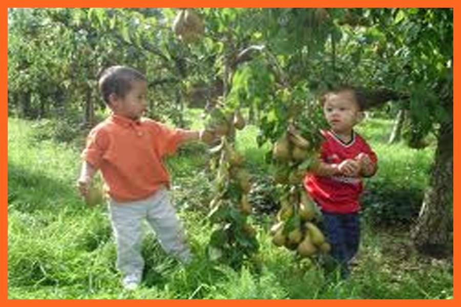 blog cikgunoory: Dusun datuk