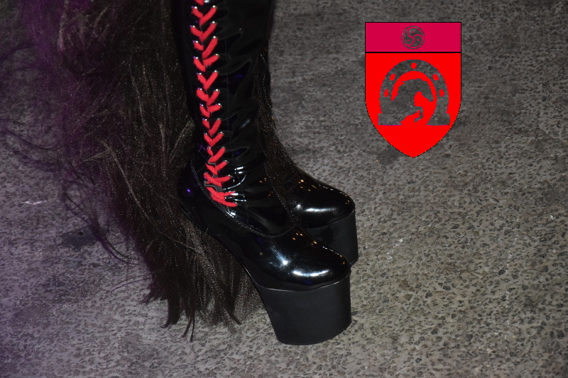 PonyGirl grand Ouest: Termes techniques des accessoires de la pony