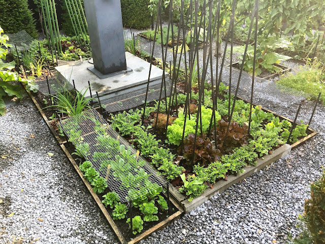 Potagerie in Maastricht: 28.05.2017 > Vedgetables in Potagerie