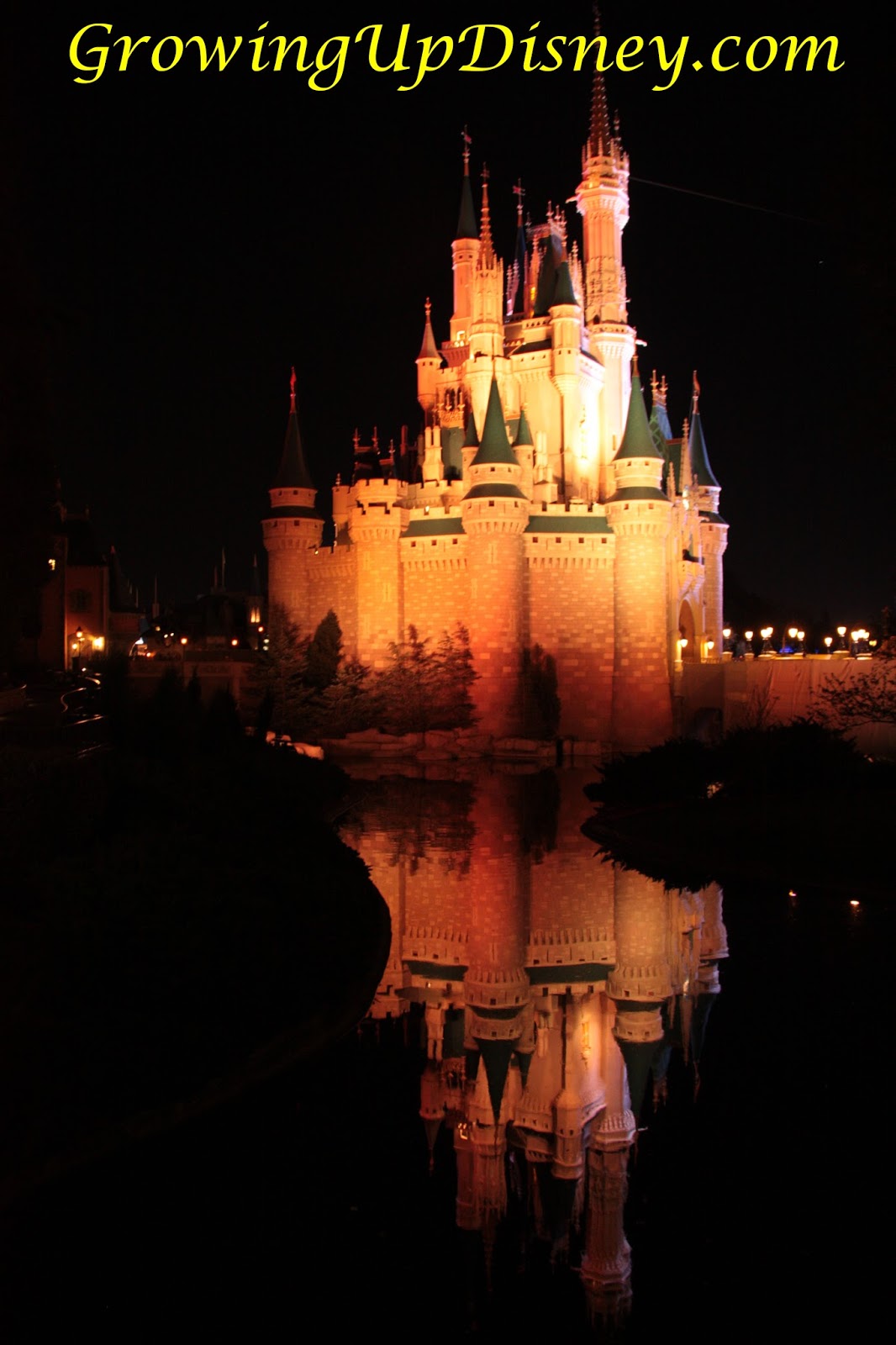 Growing Up Disney: Photo Flashback! Magic Kingdom at Night