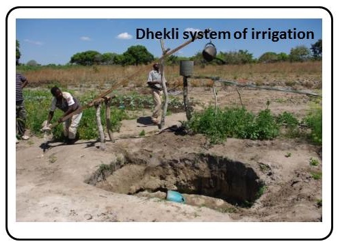 B for Biology: Crop Production and Management (Part II)