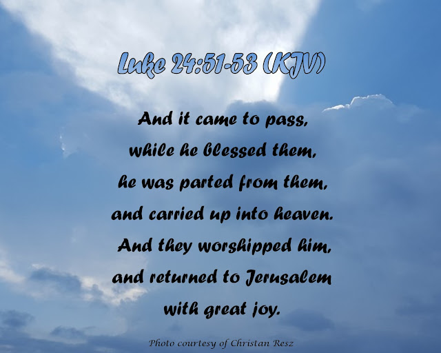 Susies' Musings: April 2017