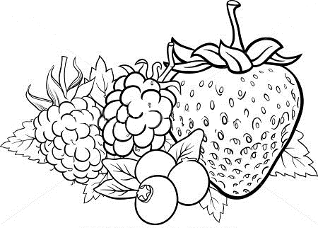 CAPSUNA si CIREASA de colorat pentru copii :: Fise de lucru - gradinita ...