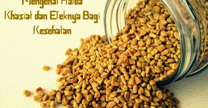 Kebaikan Dan Khasiat Halba Untuk Kesihatan - Blogbabyshambles.. ♥