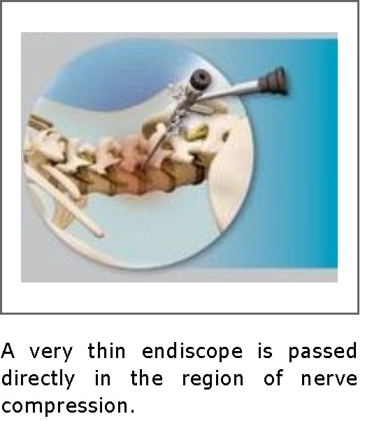 Manman Art Studio: Guest Editorial