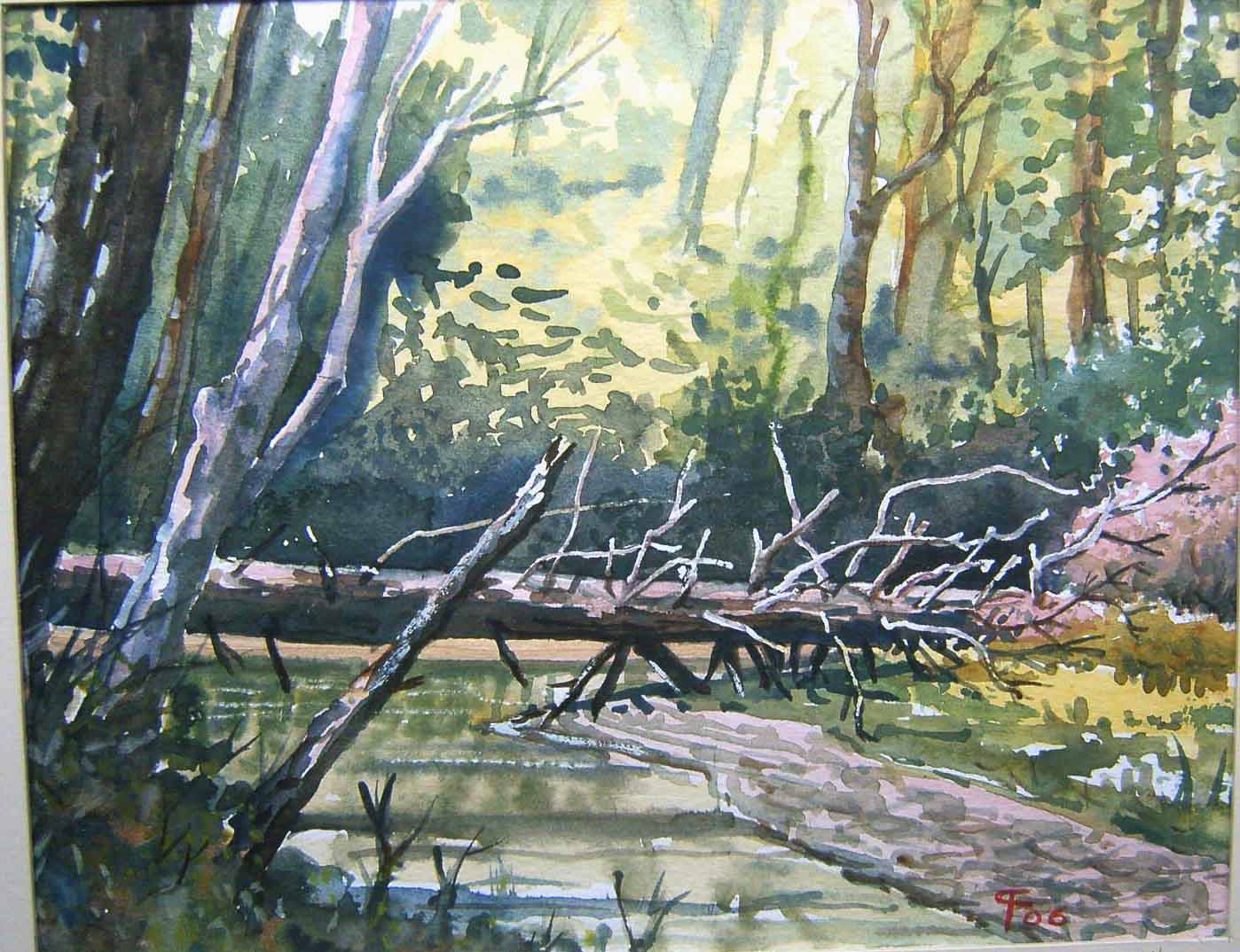paintings of frederick griffin: 'fallen log' watercolour