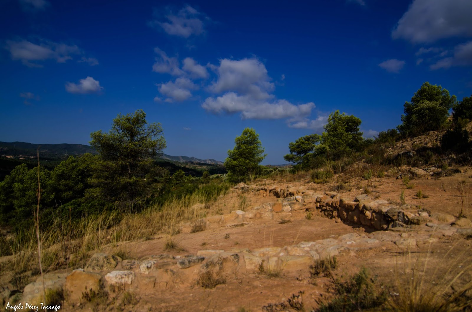 Bons moments. Àngels: Per la Reserva natural de Sebes