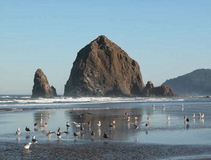 View From The Northern Wall: Near Haystack Rock - A Magpie Tale