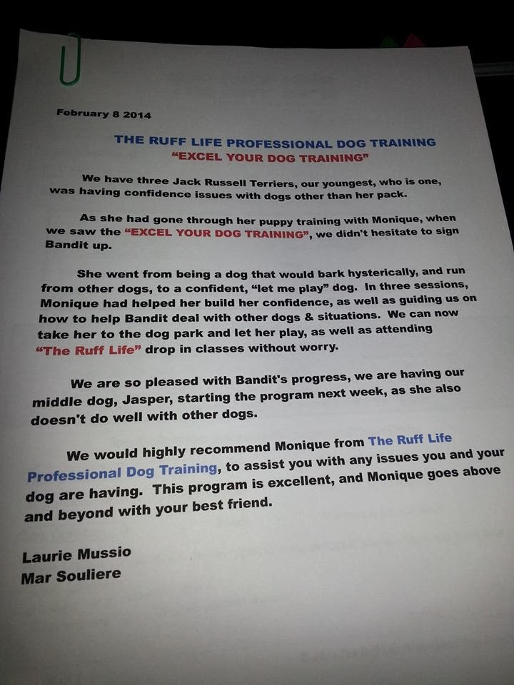 Excel Your Dogs Training: Welcome to the "Excel your dogs training" program