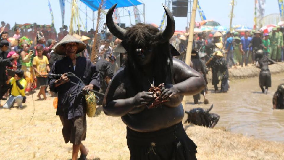 Kebo-Keboan Banyuwangi, Tradisi Saat Manusia Menyatu Dengan Alam