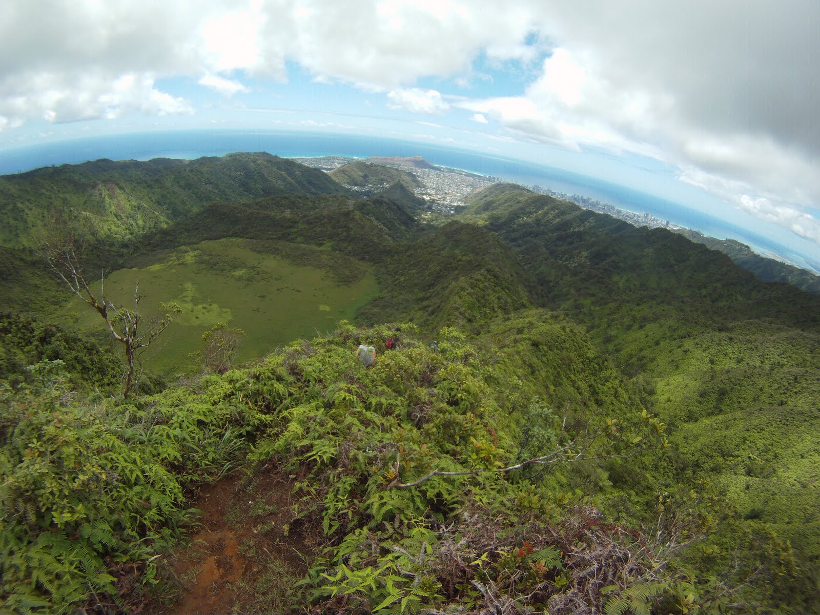 The Hobbit and the Shire: Ka'au Crater Loop
