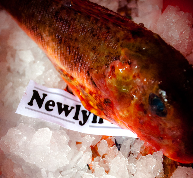 Through the Gaps! - Newlyn Fishing News: Monday's fish market in Newlyn ...