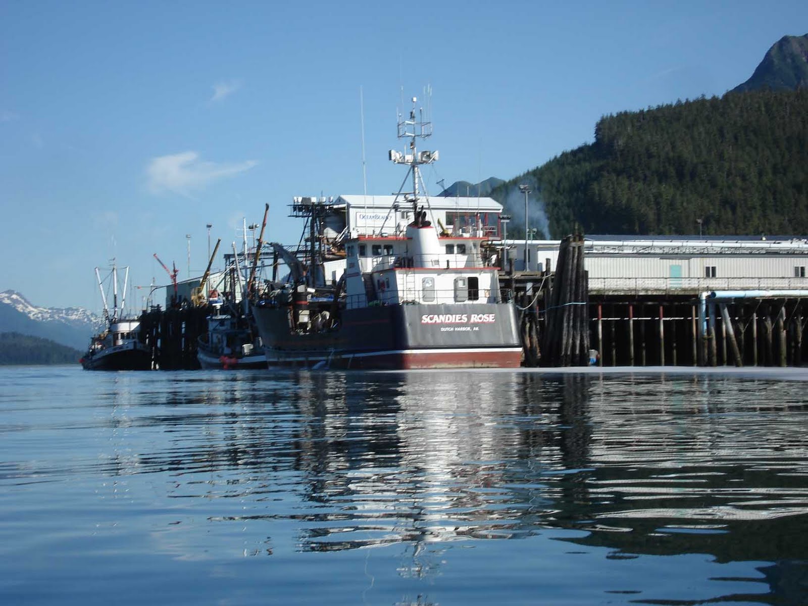 betsybear-artist: A Tour of Excursion Inlet, Alaska, July 2011