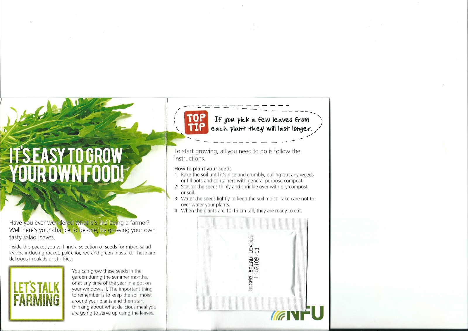 Design Context: Seed Packet Instructions