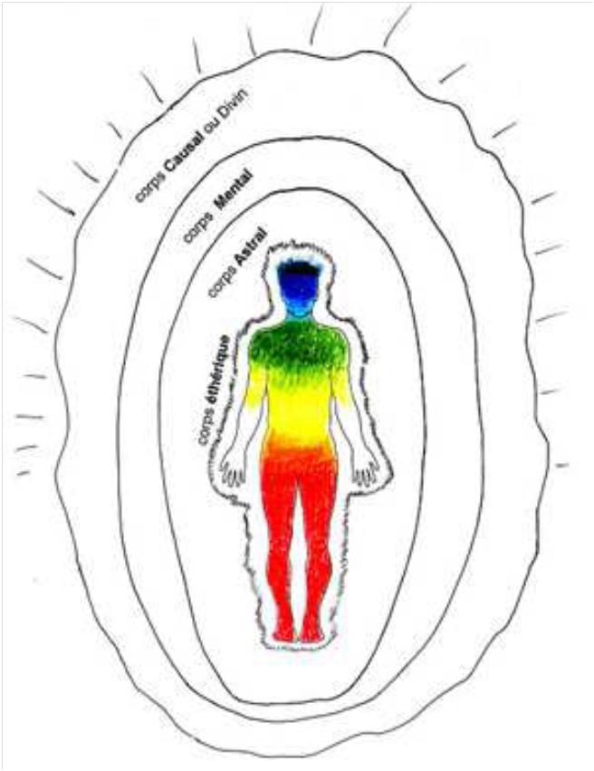 ANATOMIA ENERGETICA UMANA