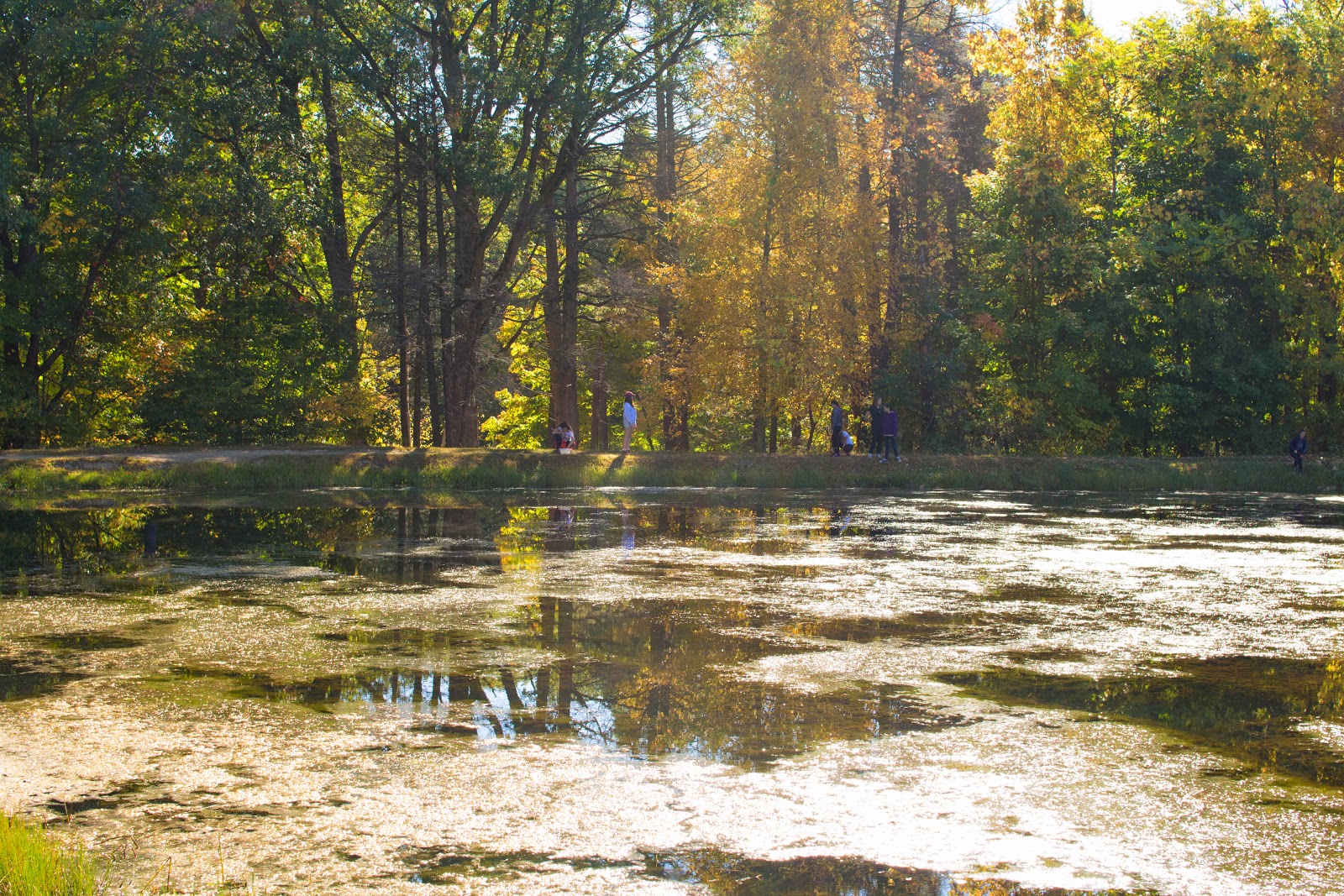 Fishkill 2014 ~ Sharpe Reservation Camp Mariah