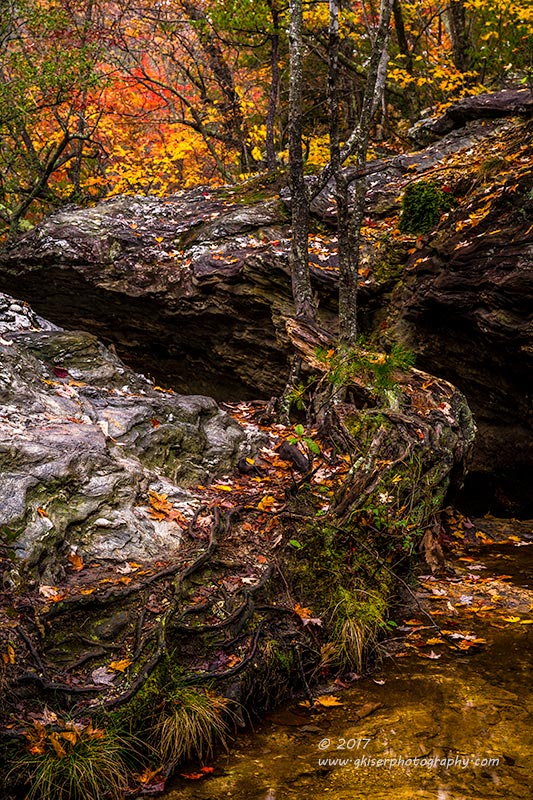 Greg Kiser Photography: Autumn at Hanging Rock