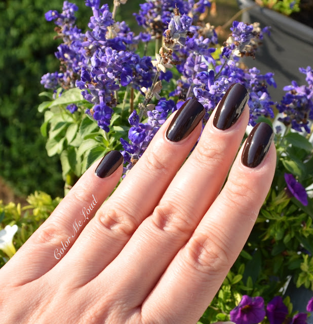 Chanel Le Vernis #669 Chataigne, #671 Ecorce Sanguine, #679 Vert Obscur ...