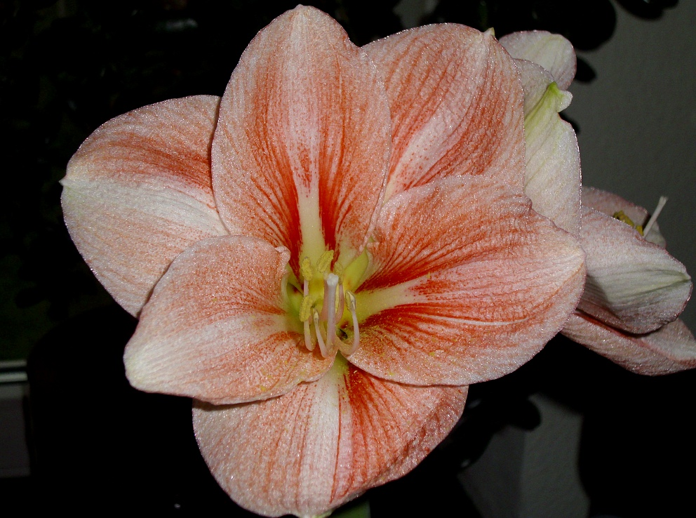 Karin`s Garden: Autumn Days1