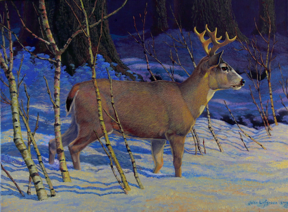 The Show and Tell Nature Blog: Painted Cervidae