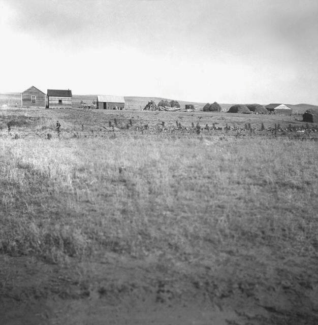 Thru Prairie Grass: Govert, South Dakota: Harding County History Book
