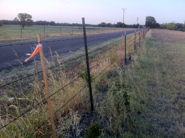 Macey House Project 2011-12: July 20 - Utility Poles / House Staked