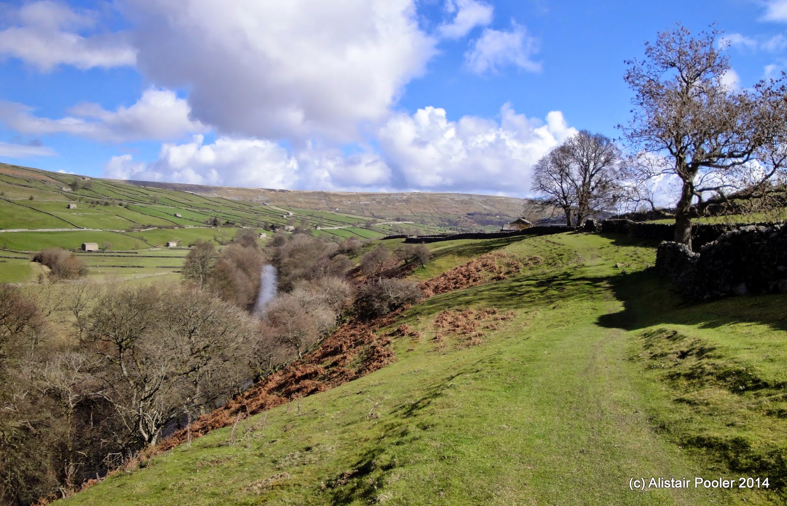 Alistair's Walks: A Swaledale Wander