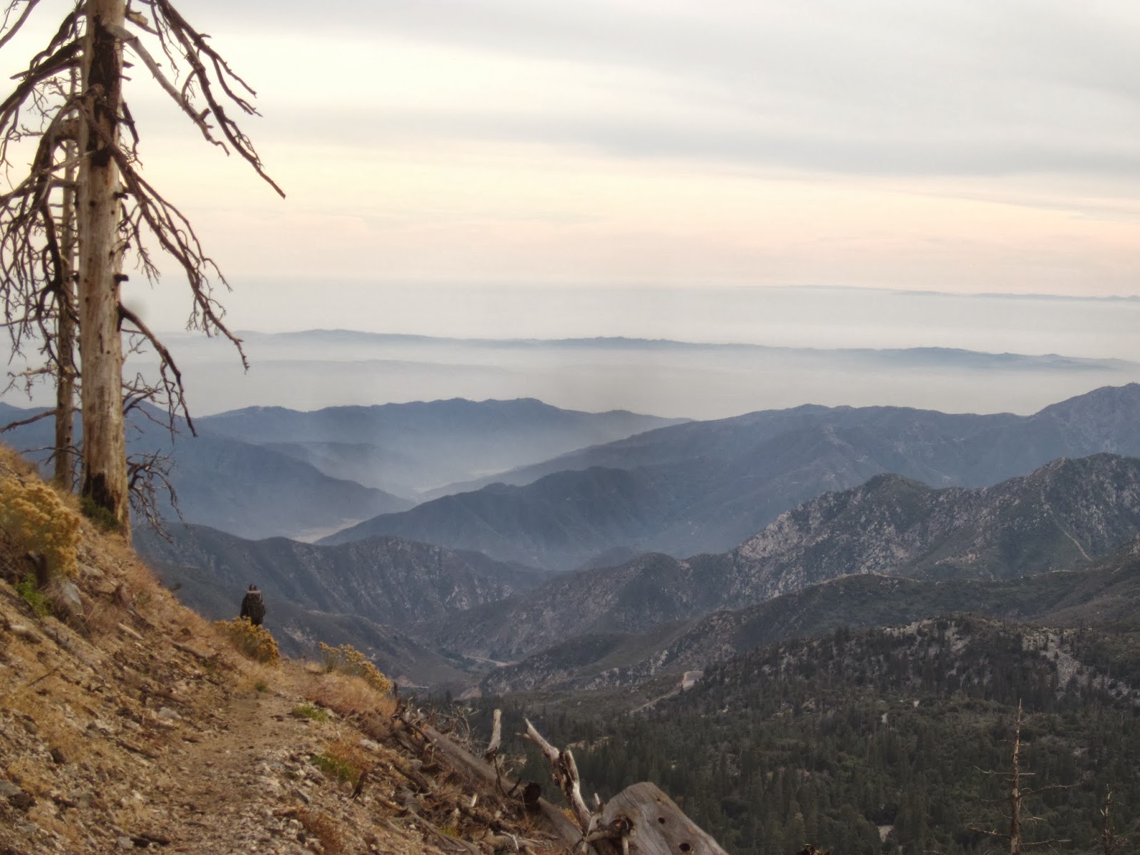 Hike With A Hunger : Mount Baden Powell via Crystal Lake Rec. Area