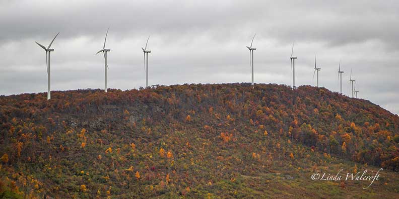 The View from Squirrel Ridge: Wind Farm in West Virginia