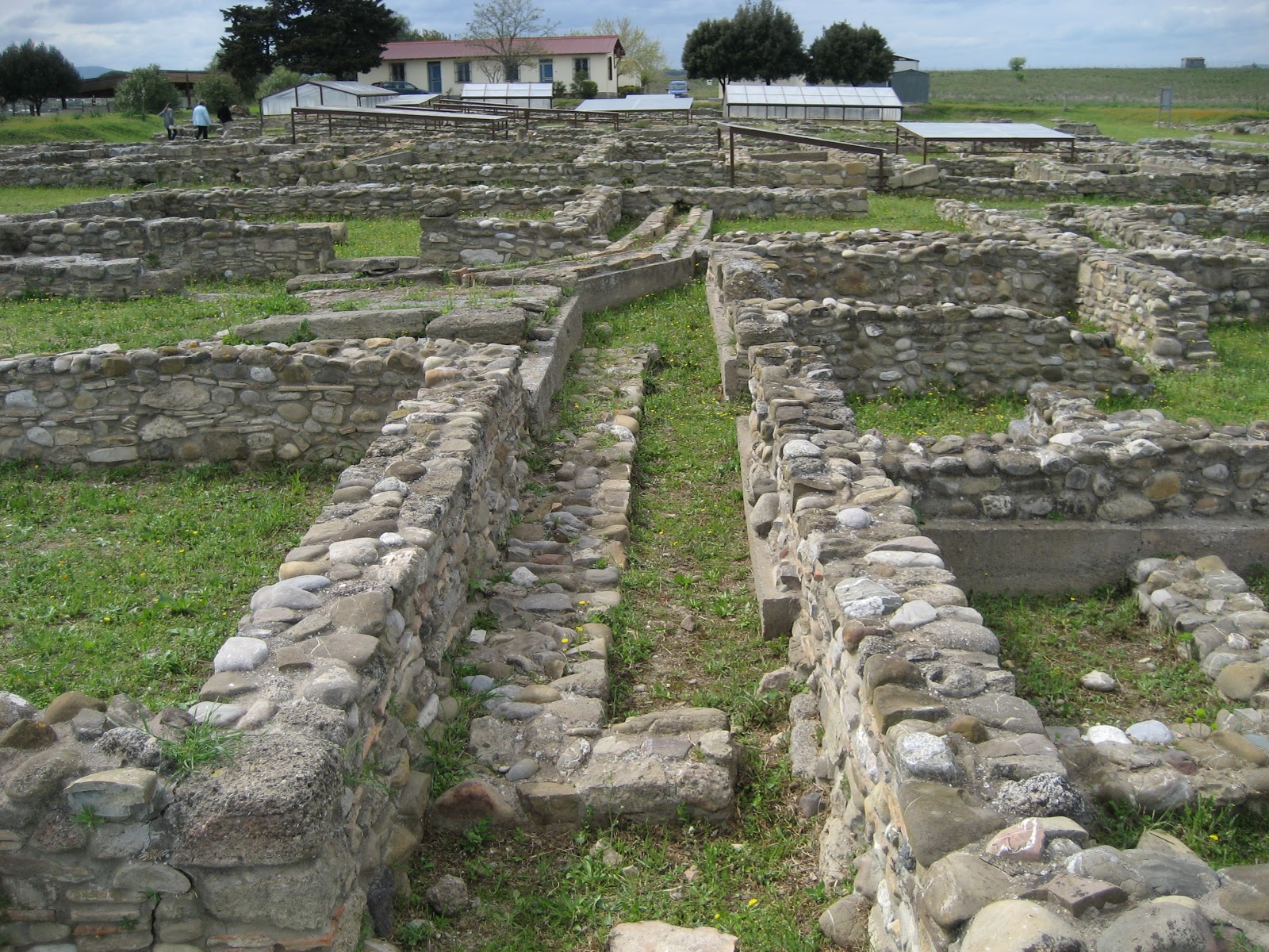 Terra di Basilicata e altri mondi: Museo della Siritide, un museo che ...