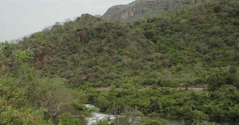 My Views: Experiencing the Wild Side-Kalakkad Mundanthurai Tiger Reserve