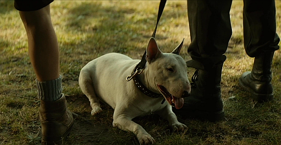 The Horror Club: DVD Review: Cub (2015)