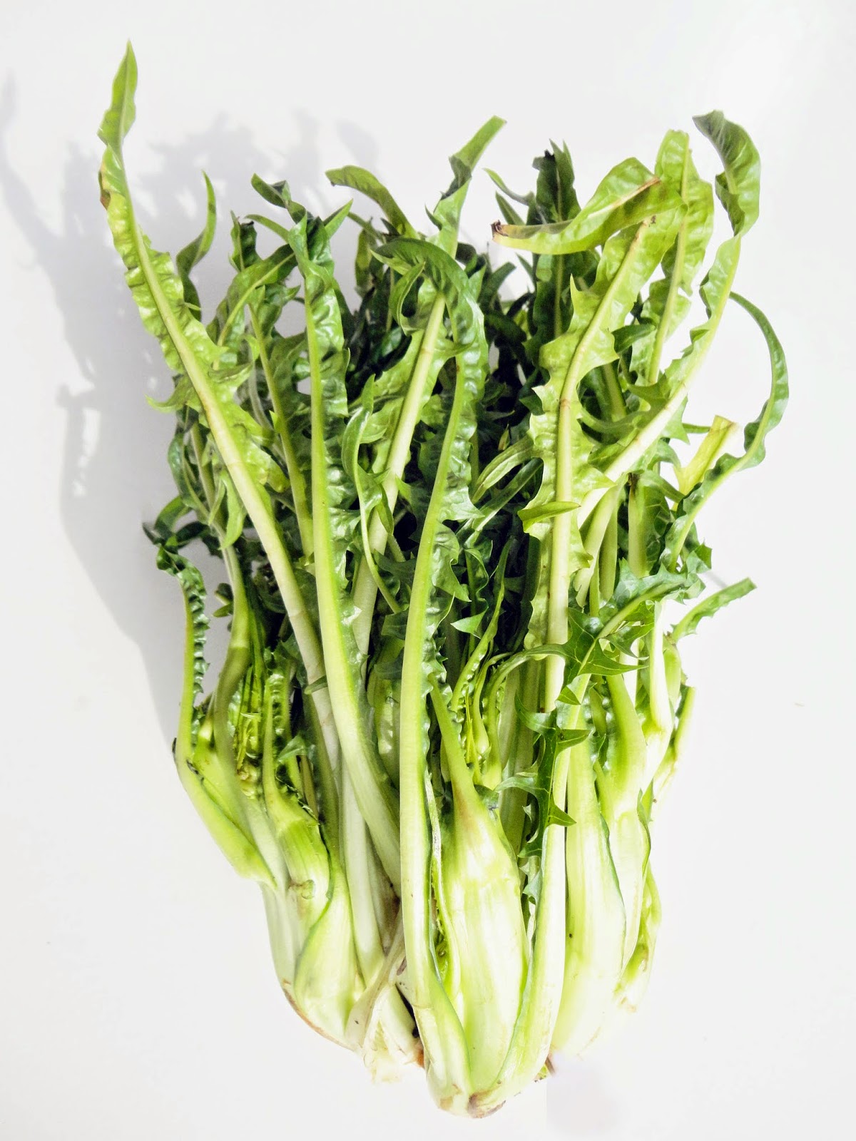 DE GOEDKOPE SMAAK: PUNTARELLE