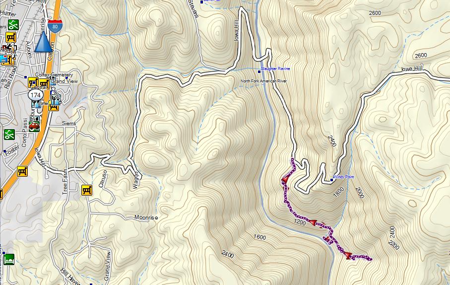 Peachy Hiker: Windy Point Wildflowers