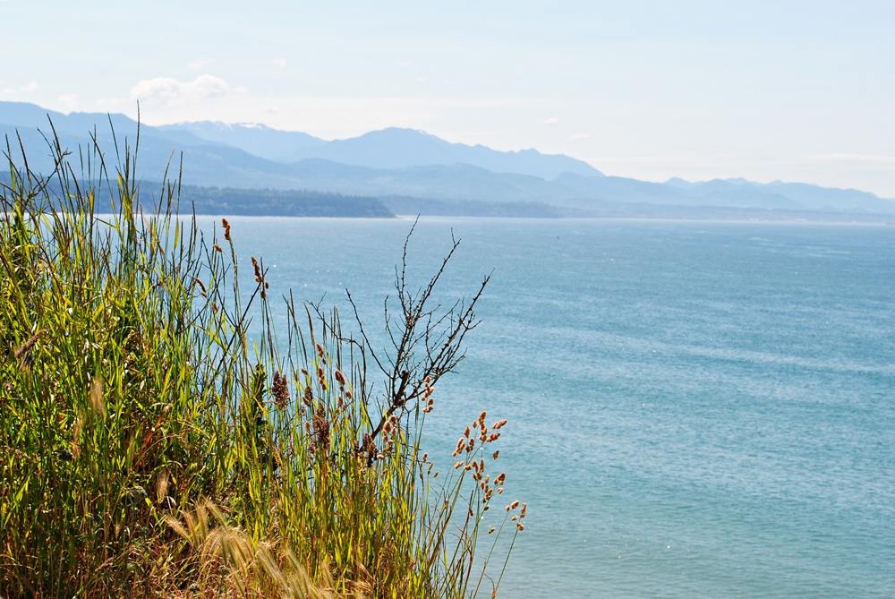 The Bumblebeez: The Unfinished Hike...Dungeness Spit, Sequim WA