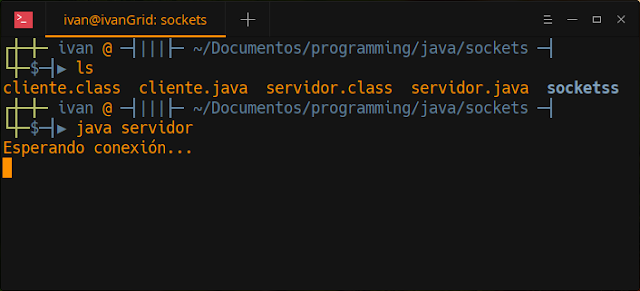 Enviar y recibir mensajes con Sockets en Java - Ejemplo de Servidor y Cliente