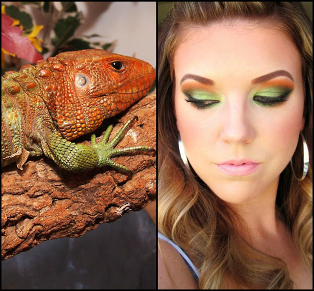 The Beautiful Life Of The Girl Next Door: I'm doing a series! Reptile ...