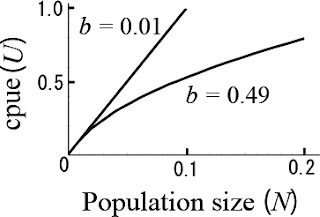 Virginia Tech Ichthyology Class : Groupers Threatened Globally, by Don Orth