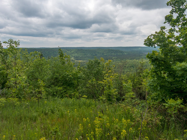 Eric's Hikes: Jordan River Pathway/NCT loop
