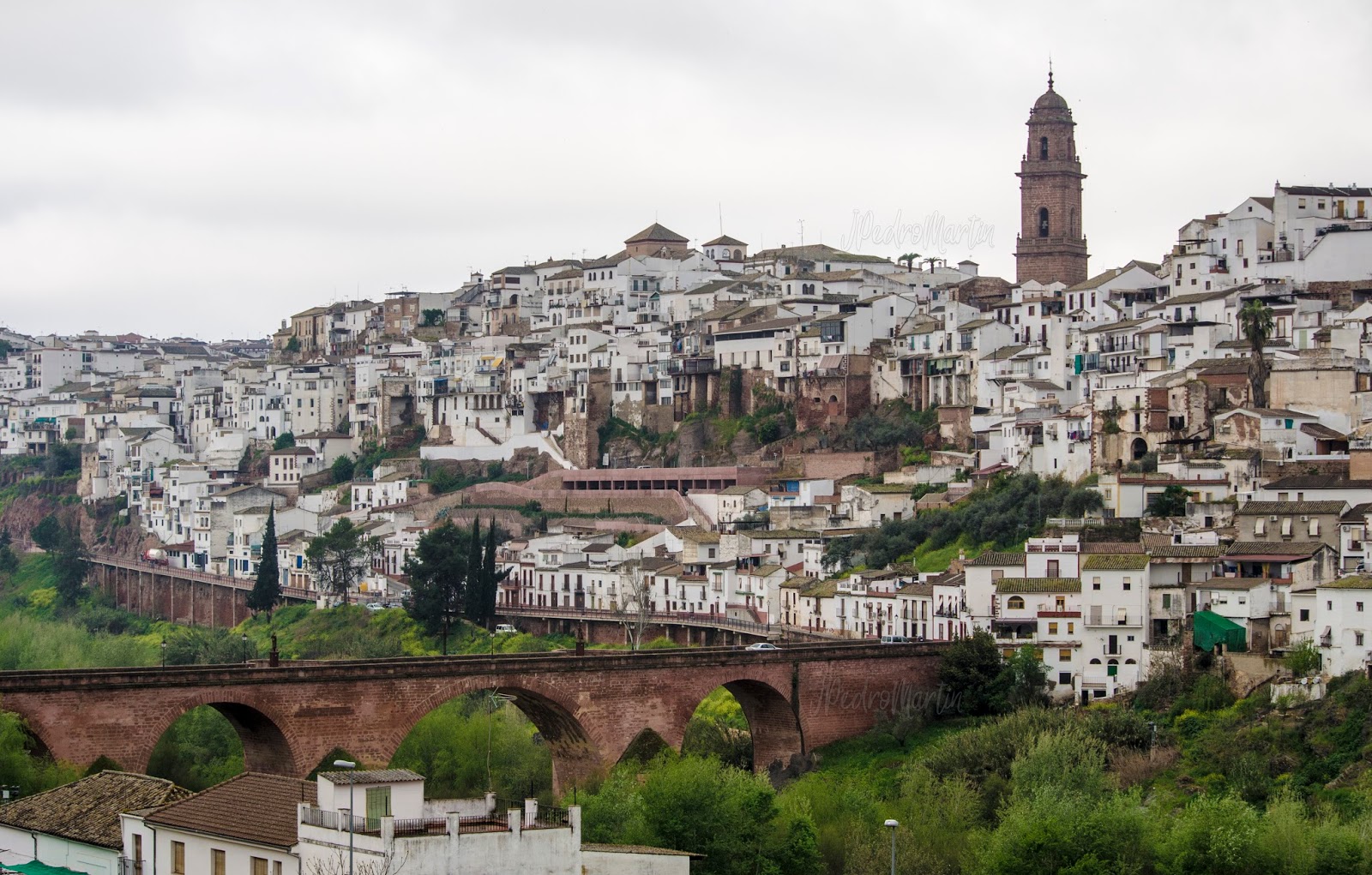 MONTORO - J PEDRO MARTÍN