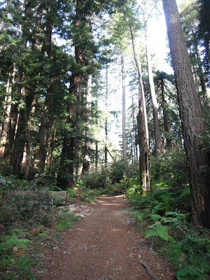 Daily Adventures: Miwok 100K 2011